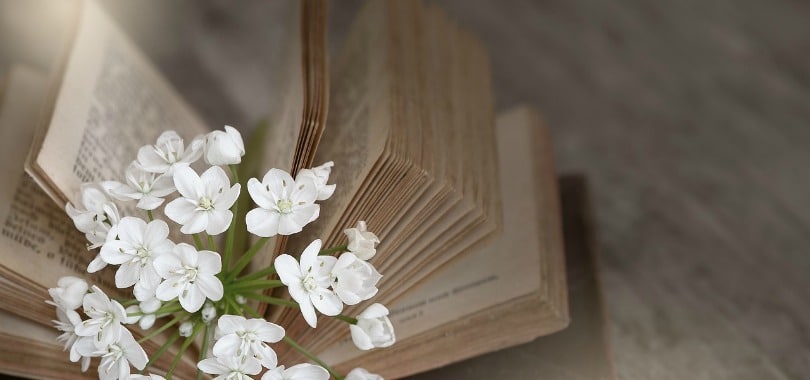 The Top 10 Books That Will Make The Biggest Impact In Your Life